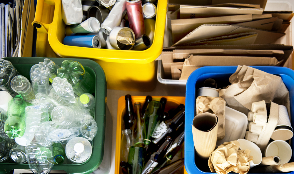 Recycling 101: The Essential Guide | Bonza Bins